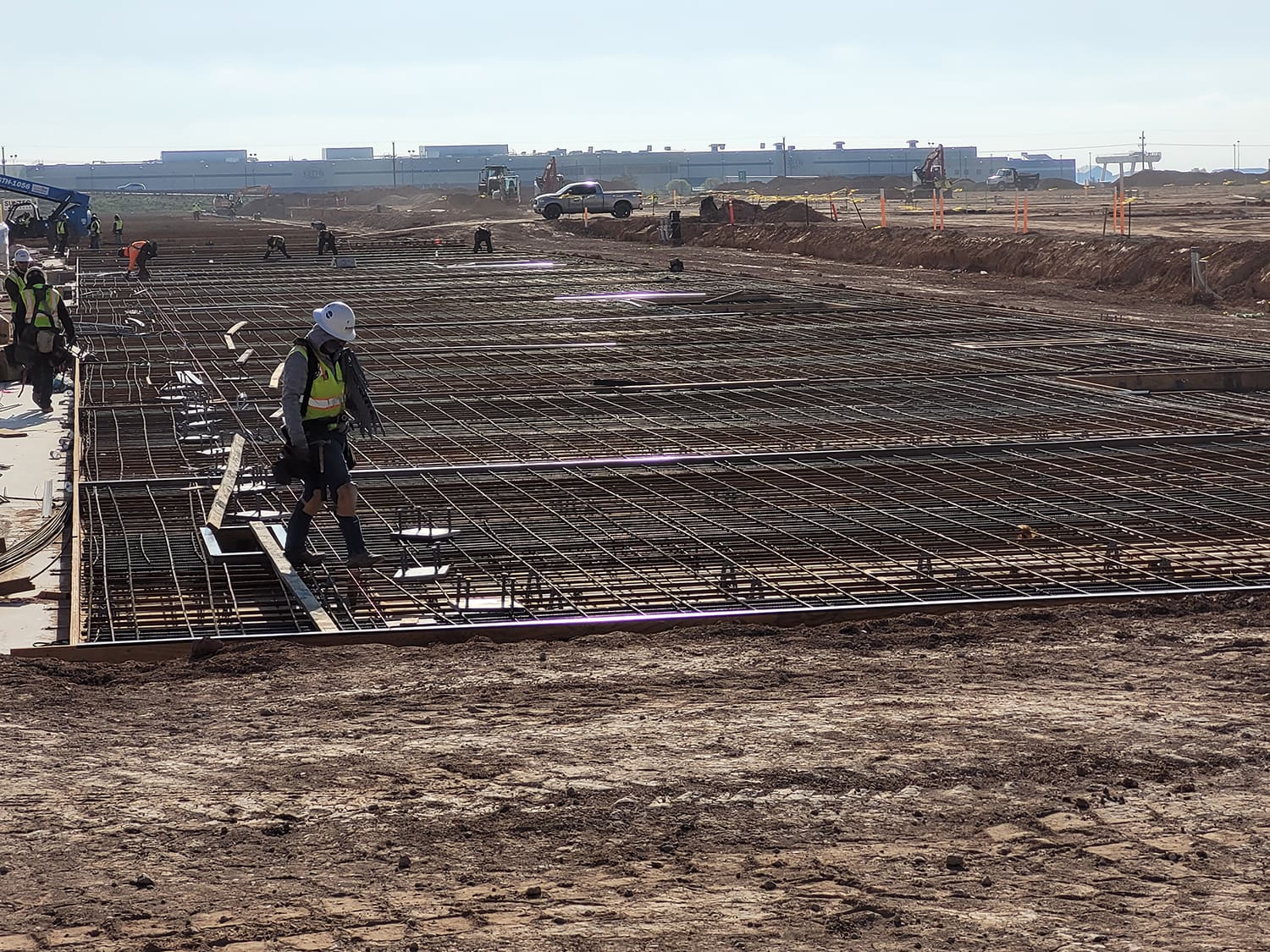 Project Armadillo - Willmeng Construction